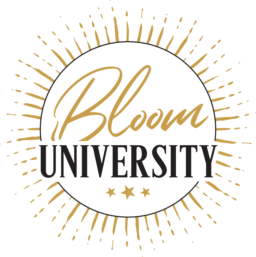 Updated Downline Report Basics Video - JBloom Designs